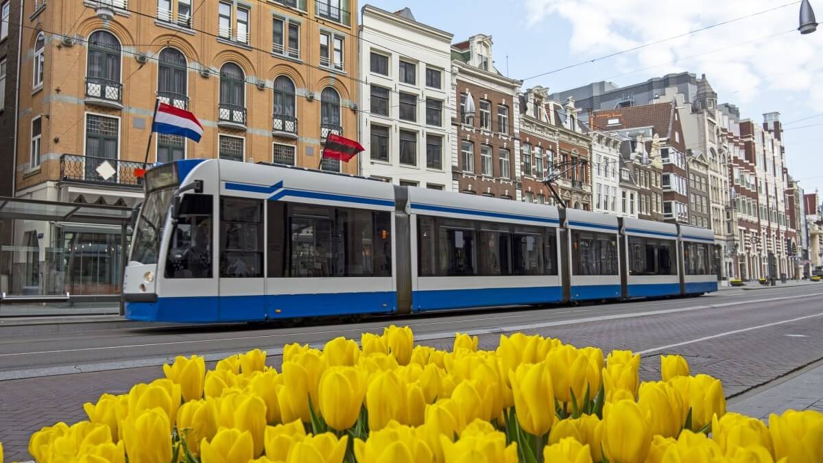 Record Migration Levels Increase Dutch Population Rates, Data Reveals ...