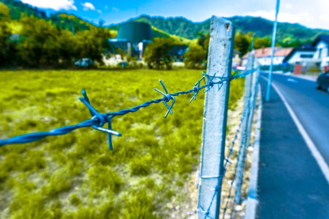 Surge in Illegal Border Crossings in Switzerland: German Union Urges ...